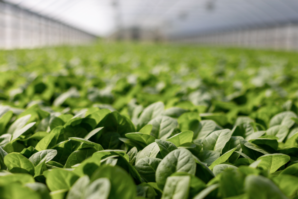 Advancing America’s bioeconomy | Luminary Labs